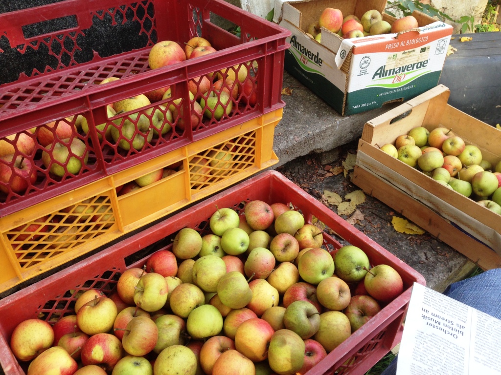 Gute Ernte - Das Motto des Tages